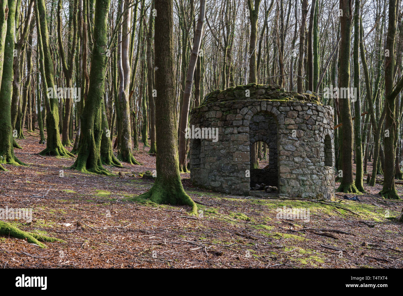 Folly ruins hi-res stock photography and images - Alamy