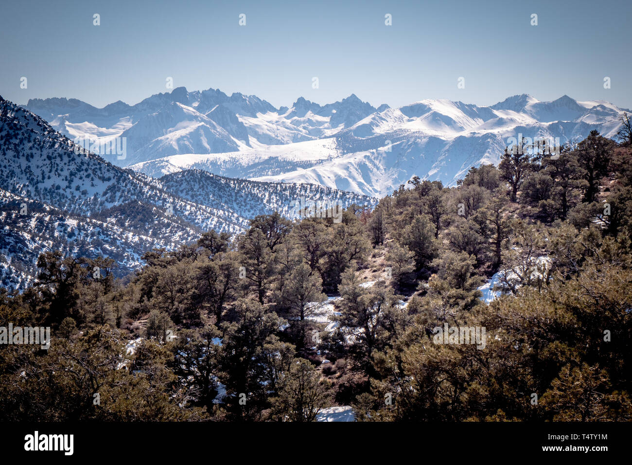 Beautiful Inyo National Forest in the Sierra Nevada Stock Photo - Alamy