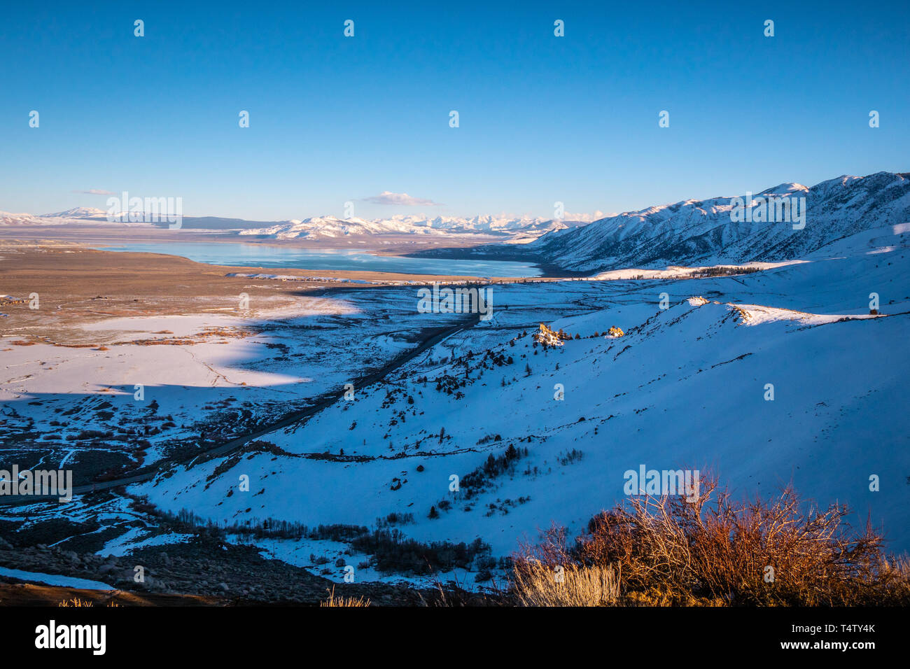 The snow covered mountains of the Inyo National Forest Stock Photo - Alamy