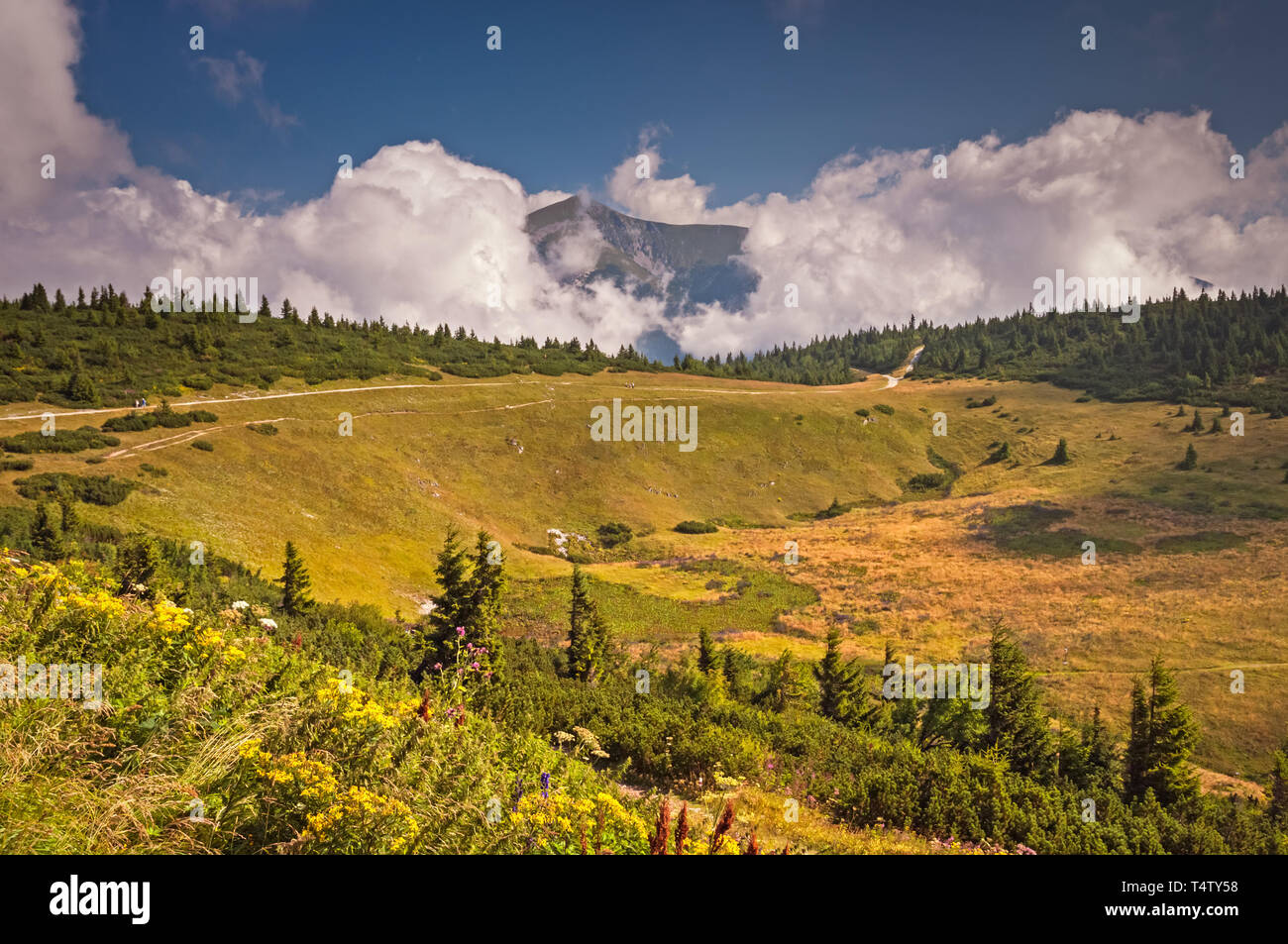 The Rax in the Raxalpe Stock Photo - Alamy