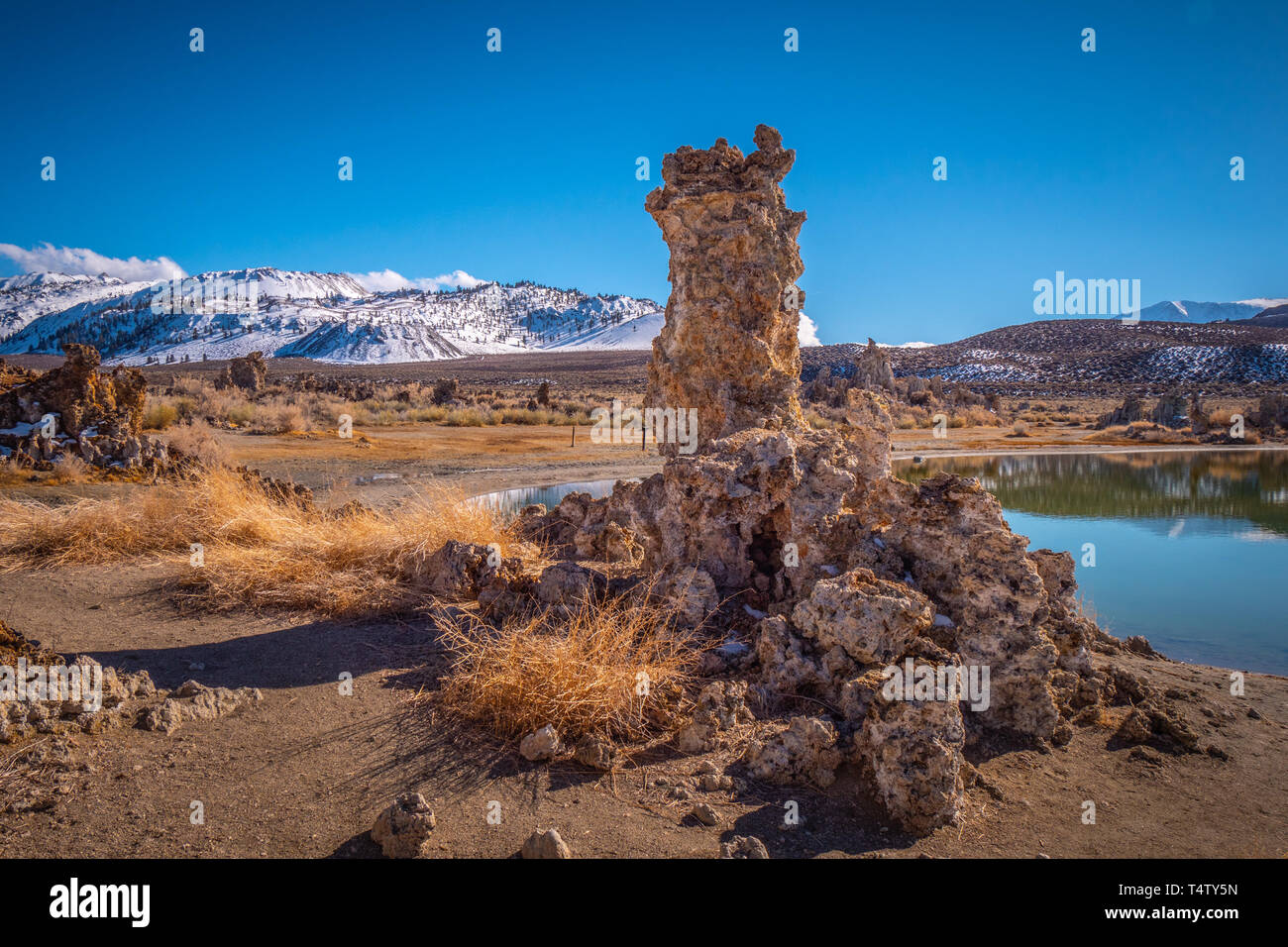 Tufa towers columns of limestone at Mono Lake Stock Photo - Alamy