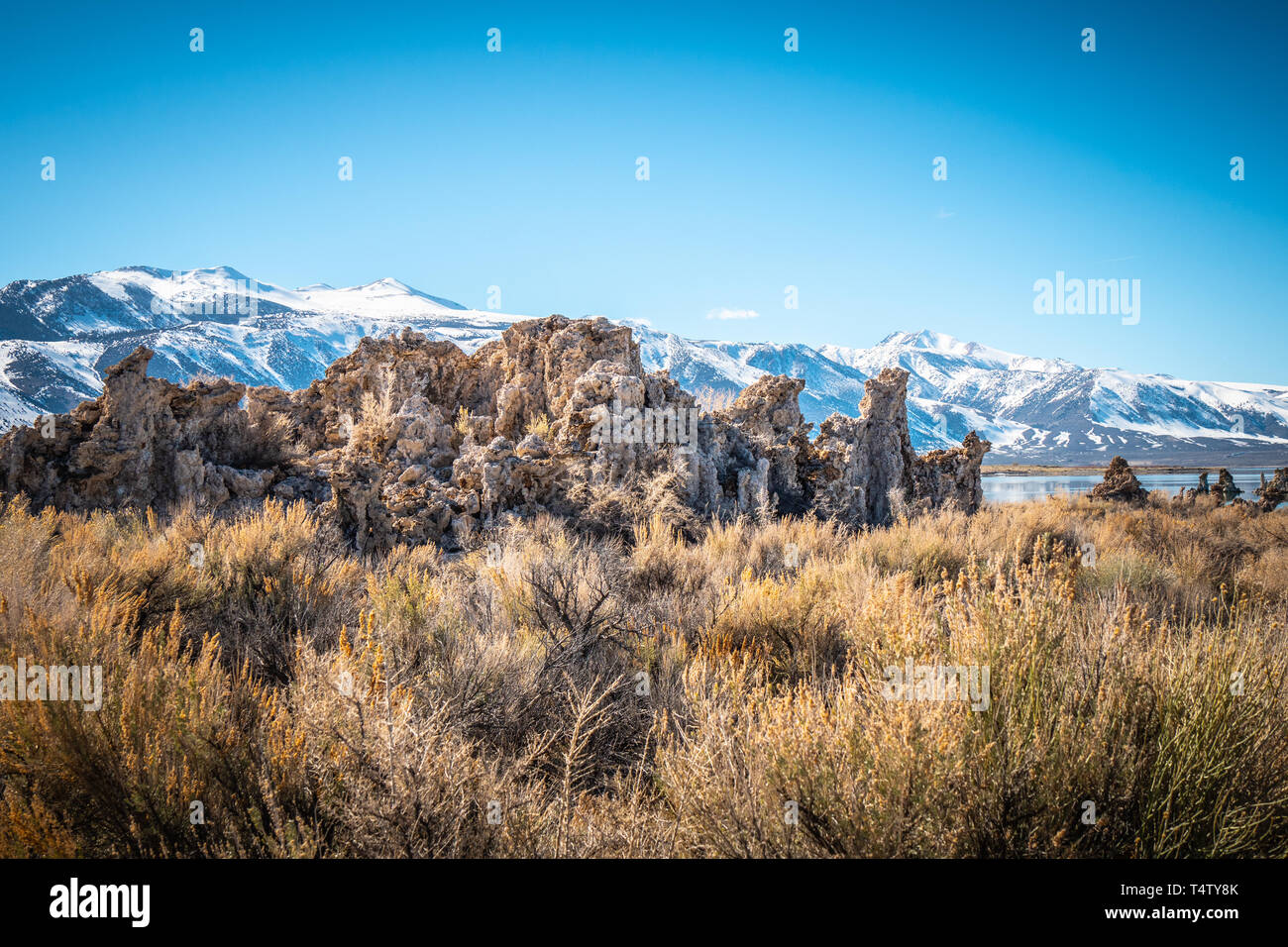 Tufa towers columns of limestone at Mono Lake Stock Photo - Alamy