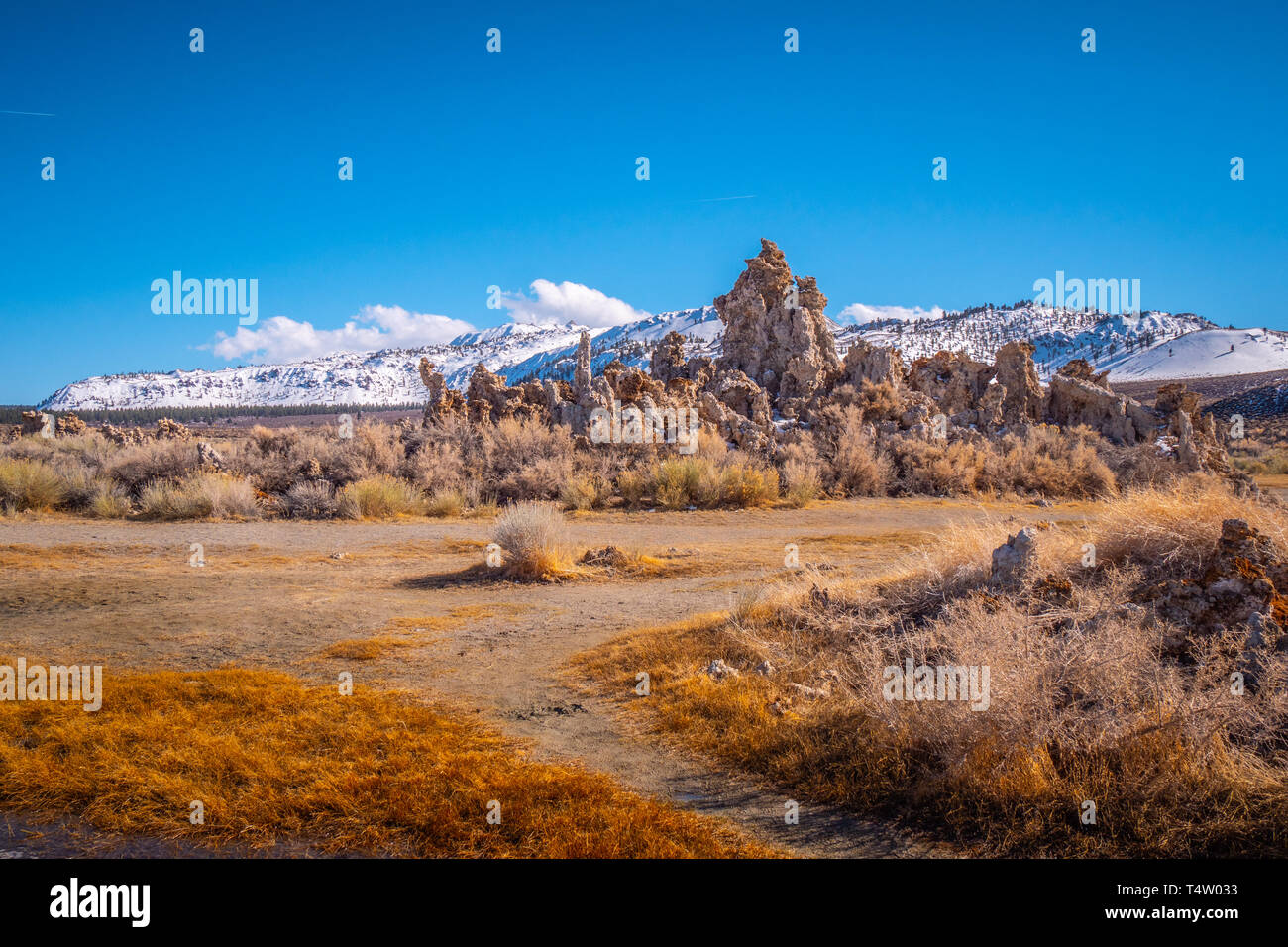 Tufa towers columns of limestone at Mono Lake Stock Photo - Alamy