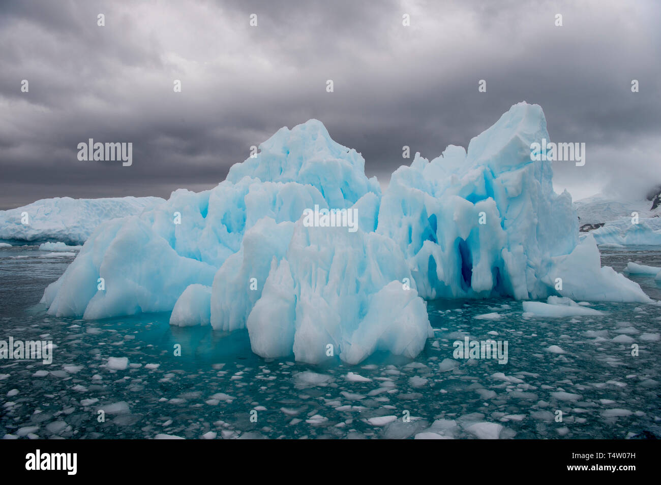 Chicks on an ice hill hi-res stock photography and images - Alamy