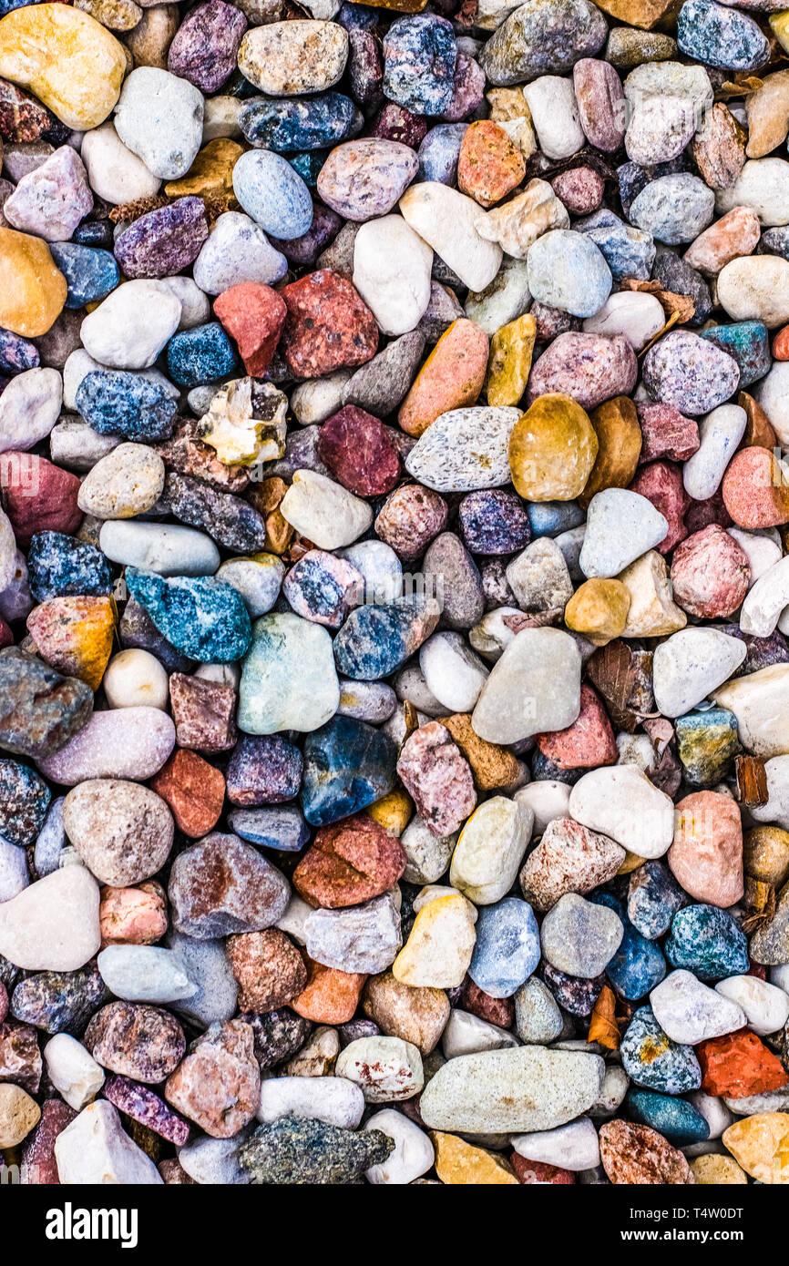 Landscape architecture, interior design and nature elements concept ...