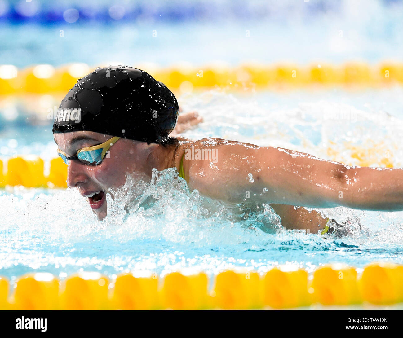 Alys thomas on hi-res stock photography and images - Alamy
