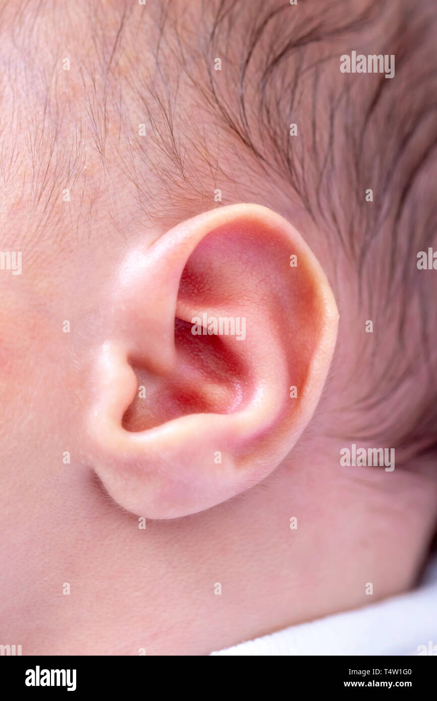Newborn ear close up. Little baby ear Stock Photo - Alamy