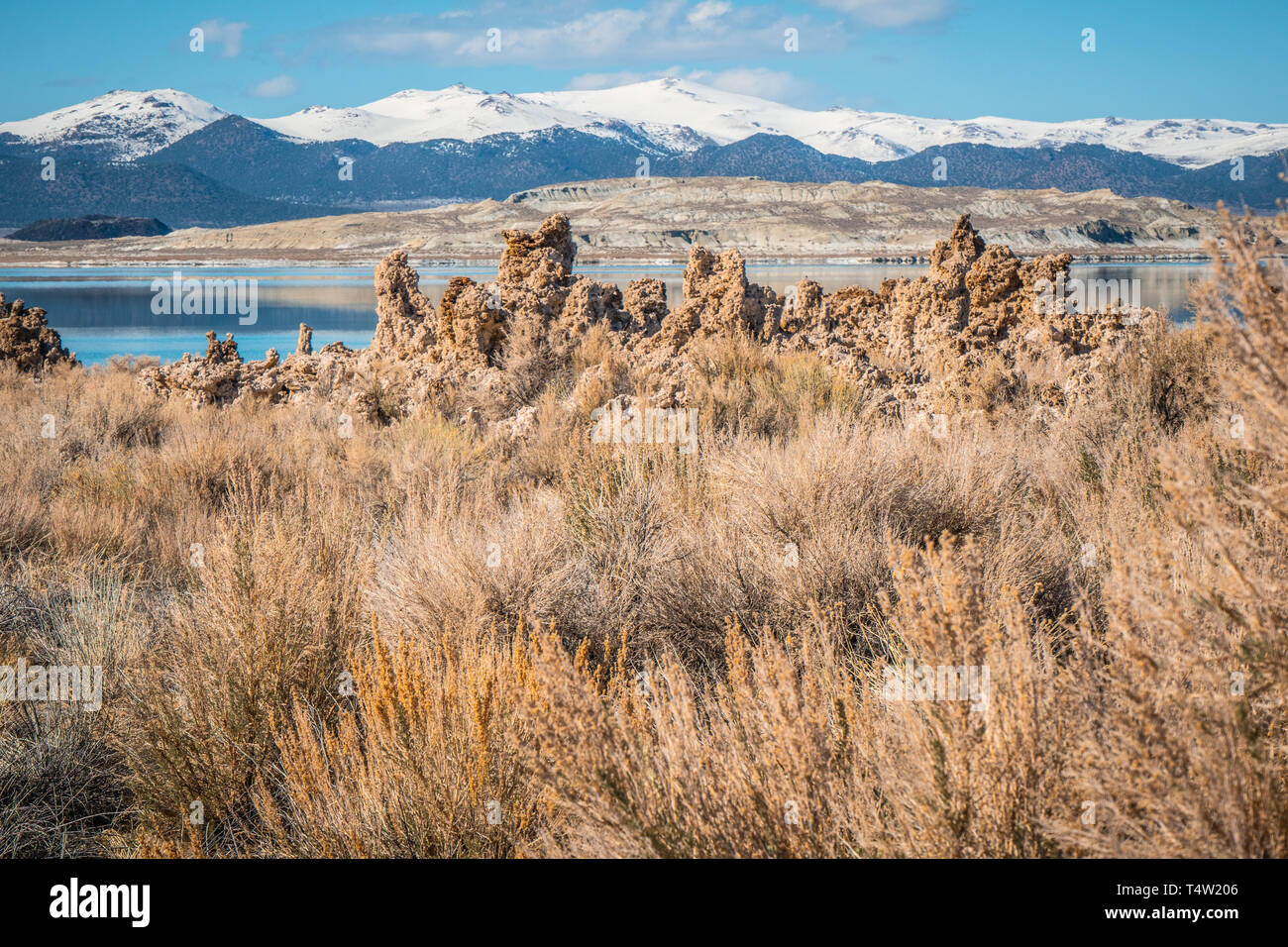 Tufa towers columns of limestone at Mono Lake Stock Photo - Alamy