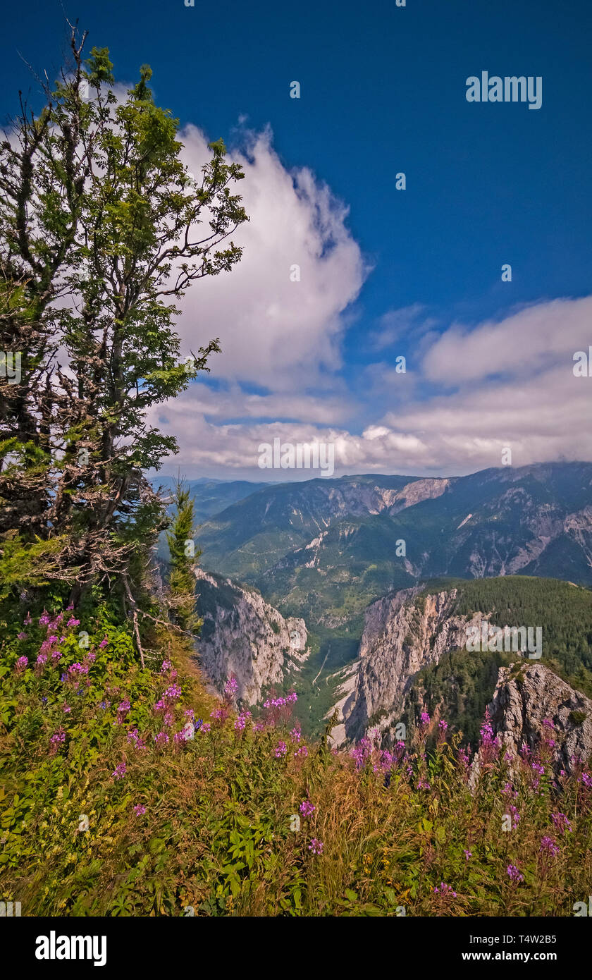 Hiking at the Rax in the Raxalpe Stock Photo - Alamy