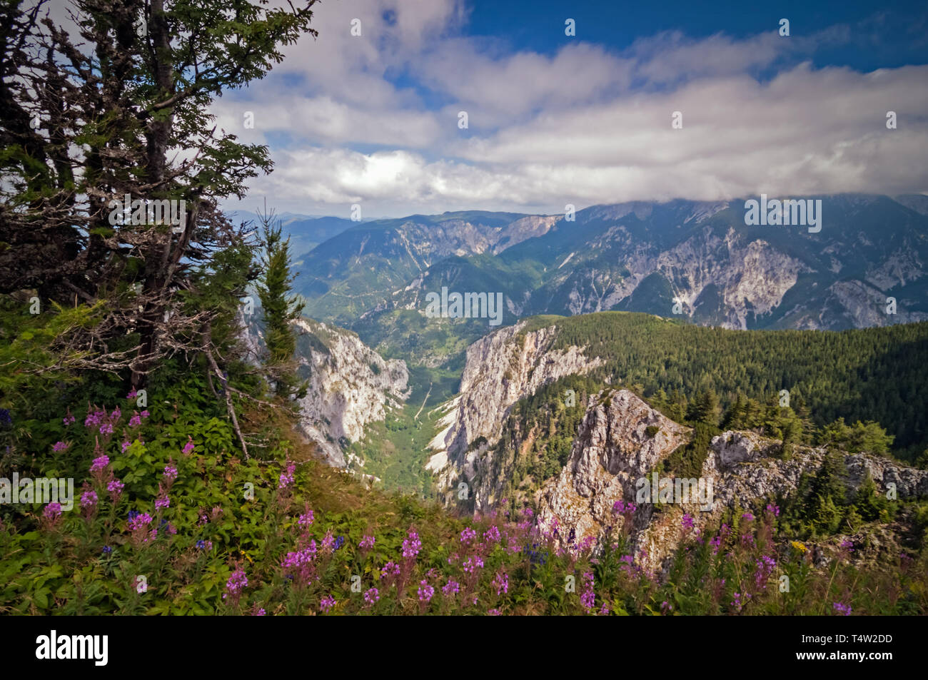 Hiking at the Rax in the Raxalpe Stock Photo - Alamy