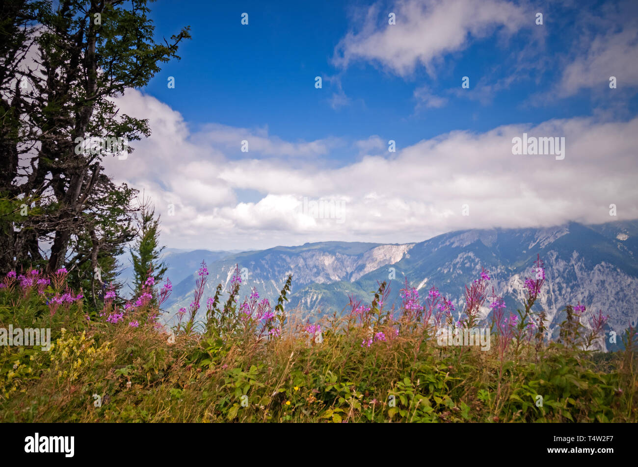 Hiking at the Rax in the Raxalpe Stock Photo - Alamy