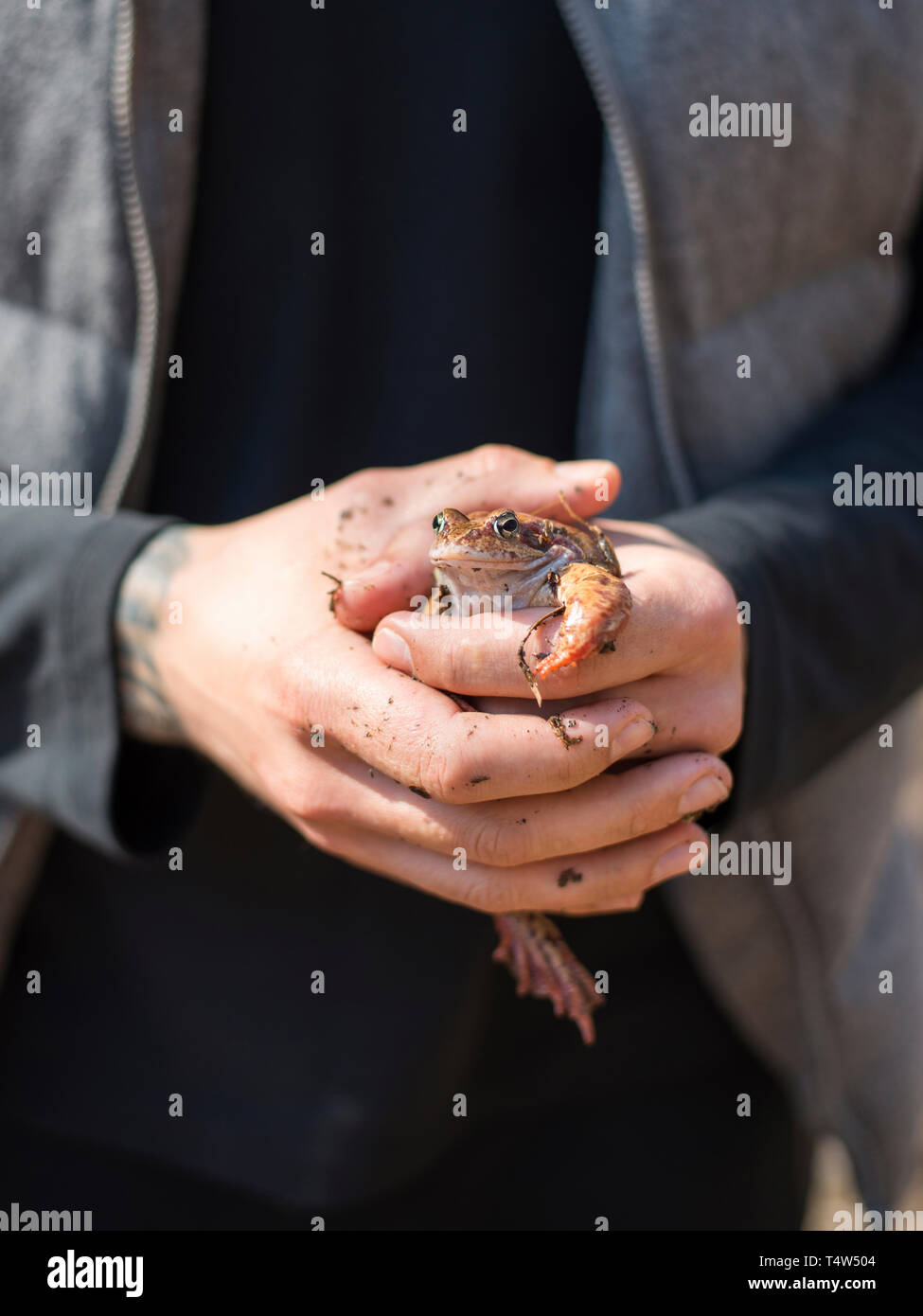 Man Holding Frog High Resolution Stock Photography and Images - Alamy