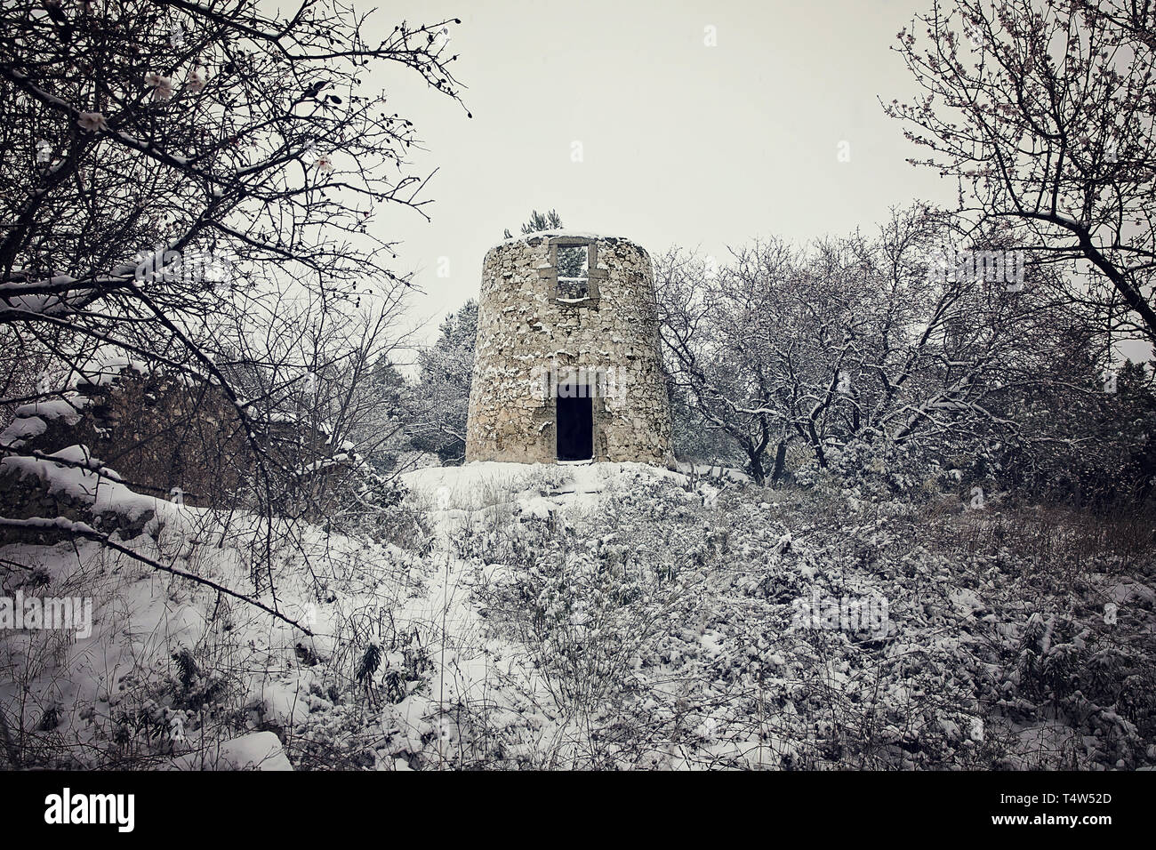 Windmill in forest hi-res stock photography and images - Alamy