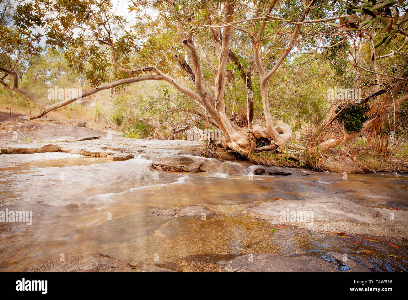 Stream flowing water hi-res stock photography and images - Alamy