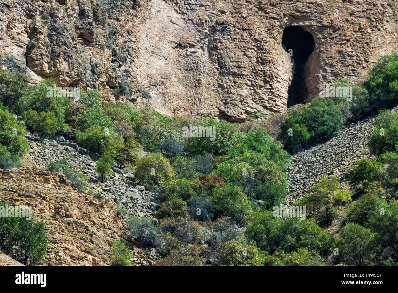 Areni 1 hi-res stock photography and images - Alamy