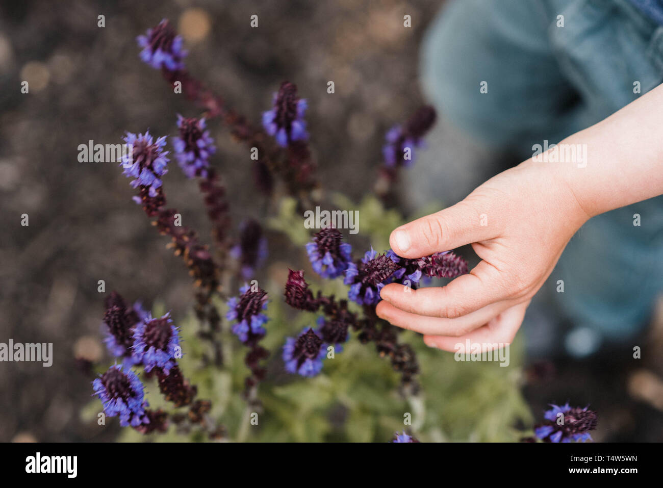 Child close up touching hi-res stock photography and images - Alamy