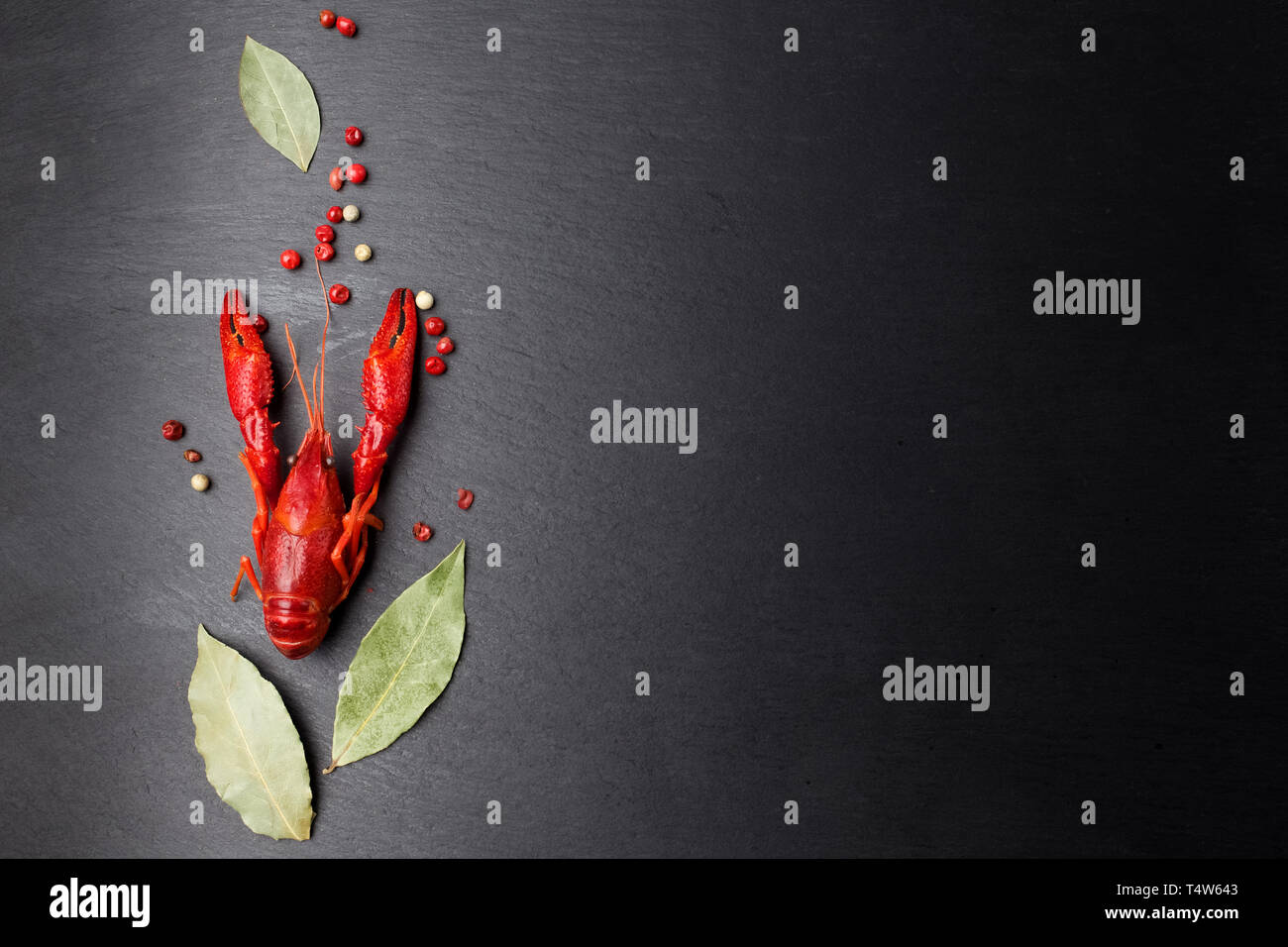 Crayfish High Resolution Stock Photography and Images - Alamy