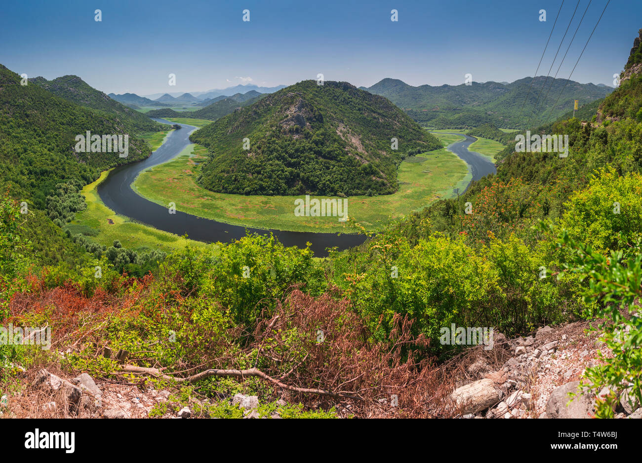 Narrow river in forest top hi-res stock photography and images - Alamy
