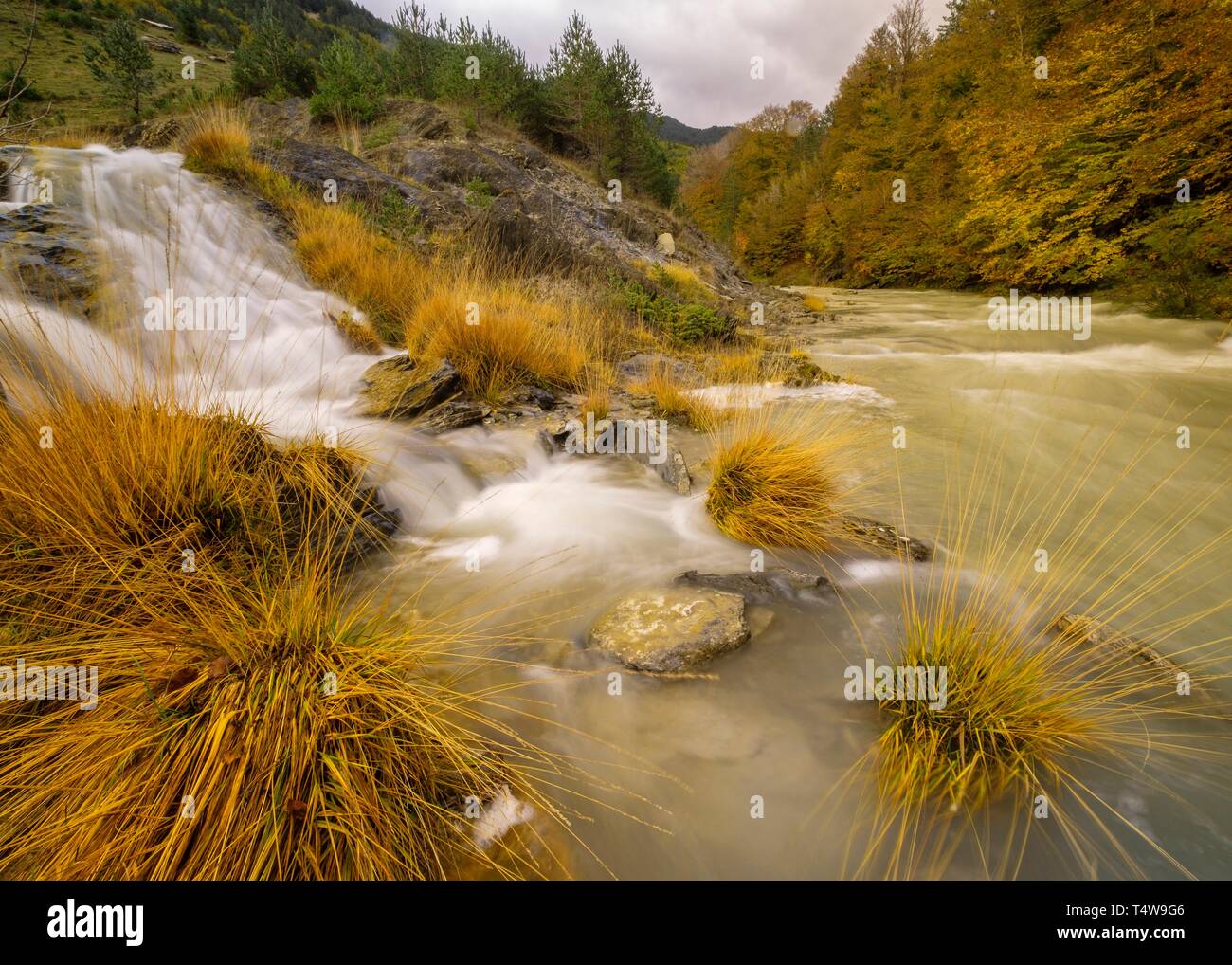 Ravine of Petraficha, Zuriza, western valleys, Pyrenean mountain range ...