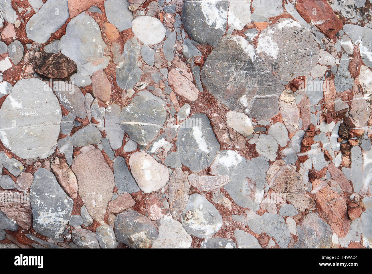 Conglomerate Stone texture - background Stock Photo - Alamy