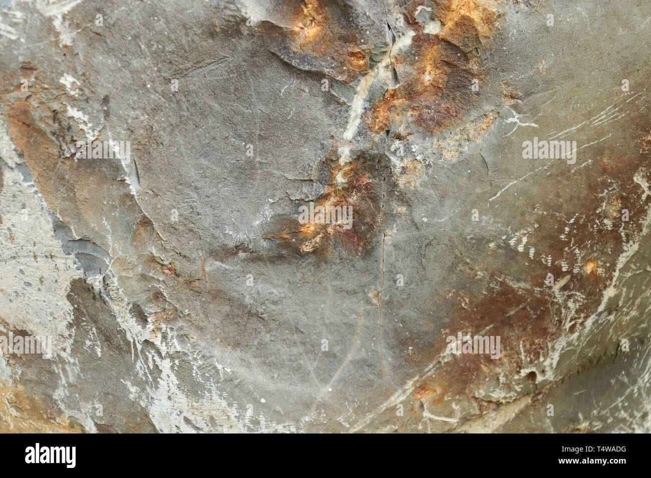 Shale stone texture - background Stock Photo - Alamy