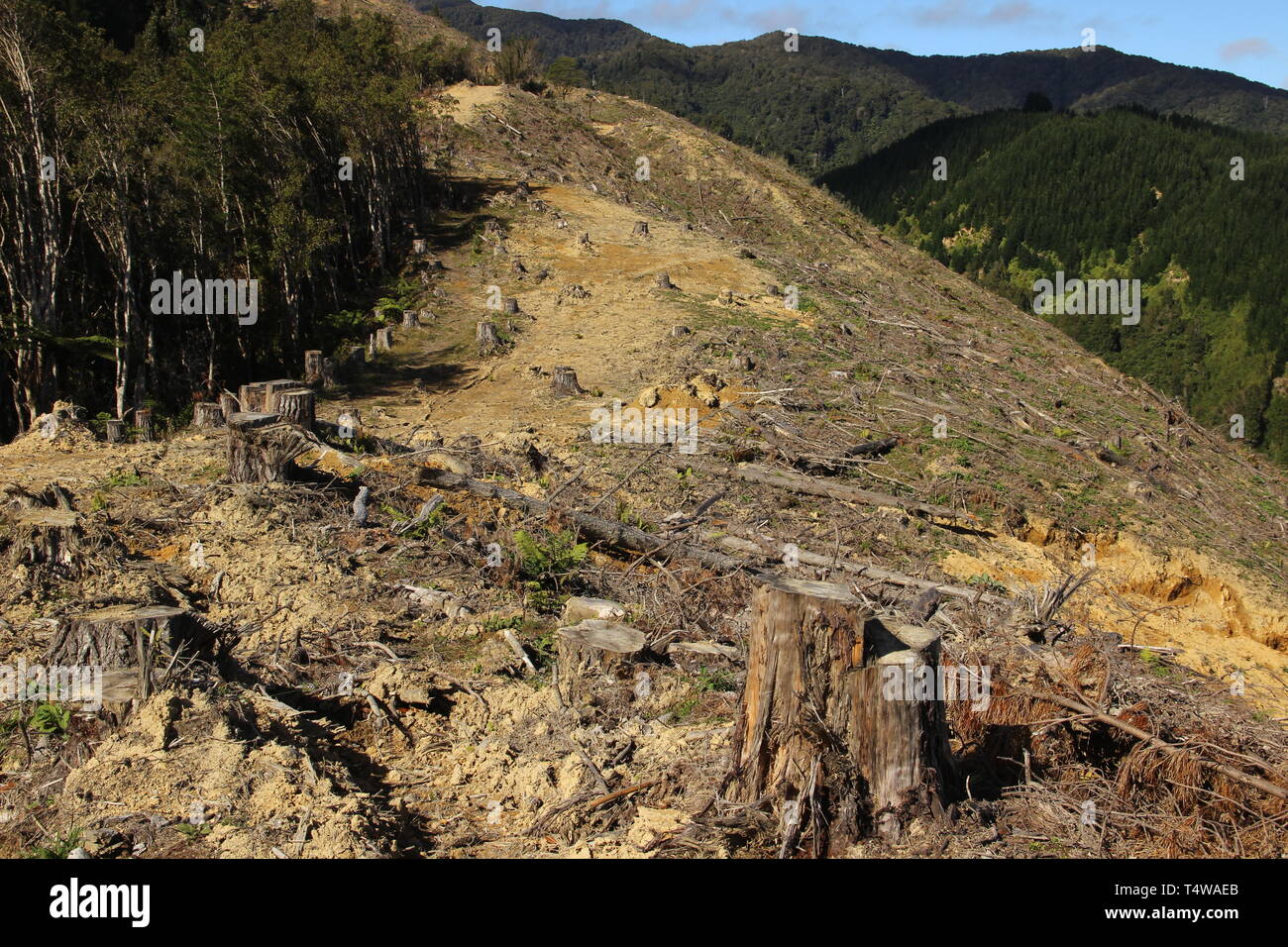 Hillside erosion hi-res stock photography and images - Alamy