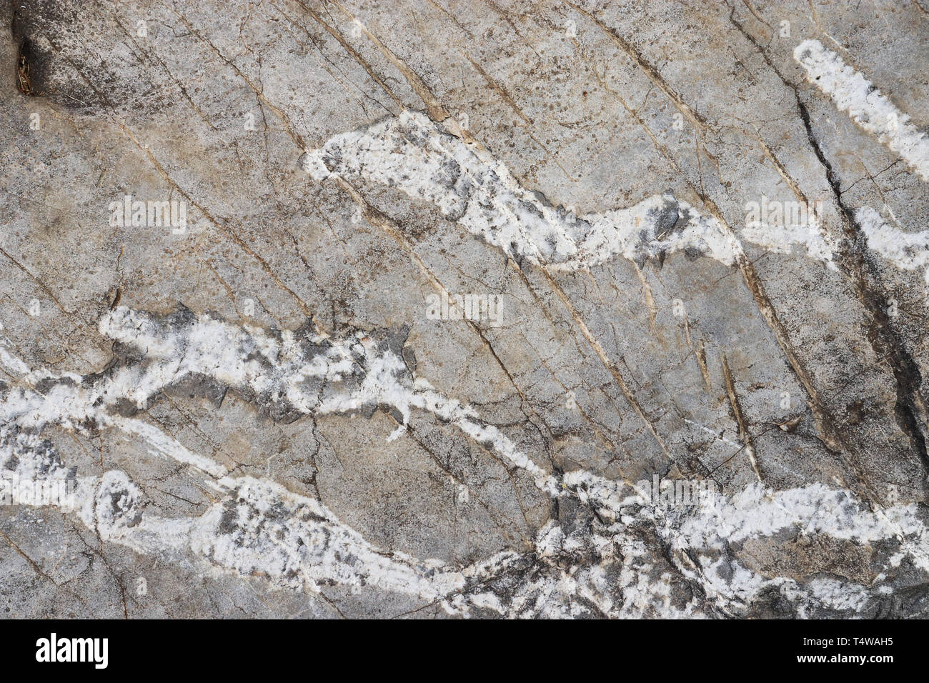 Limestone texture - background Stock Photo - Alamy