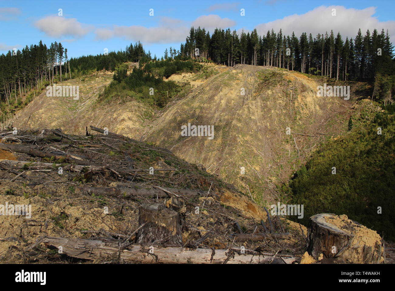 Hillside Erosion High Resolution Stock Photography and Images - Alamy
