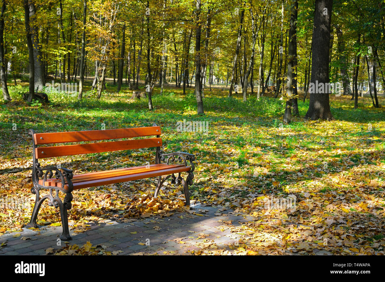 beautiful autumn park with paths and benches Stock Photo - Alamy