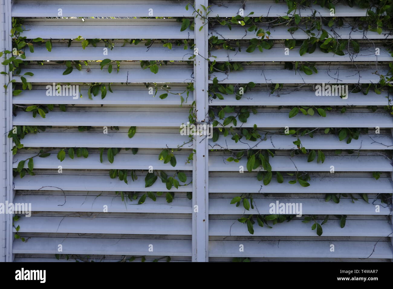Escape walls hi-res stock photography and images - Alamy