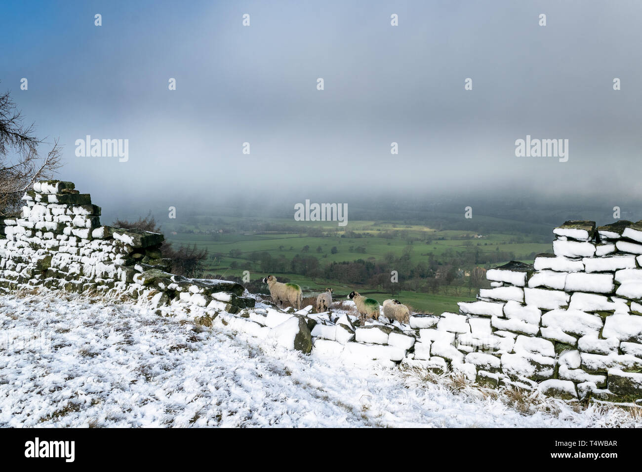 Yorkshire moors in winter hi-res stock photography and images - Alamy
