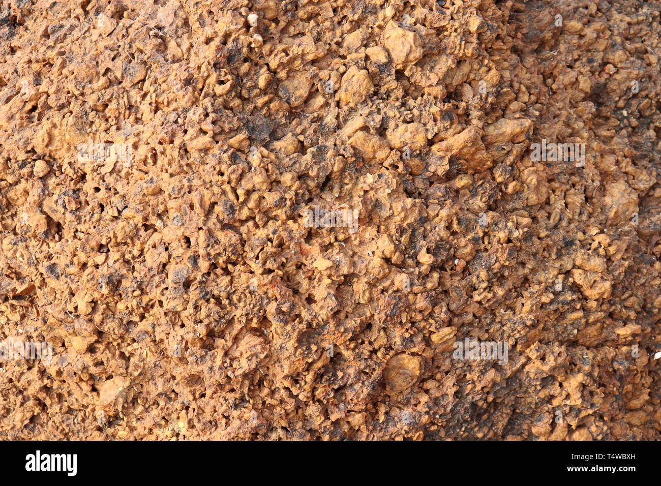 laterite stone texture - background Stock Photo - Alamy