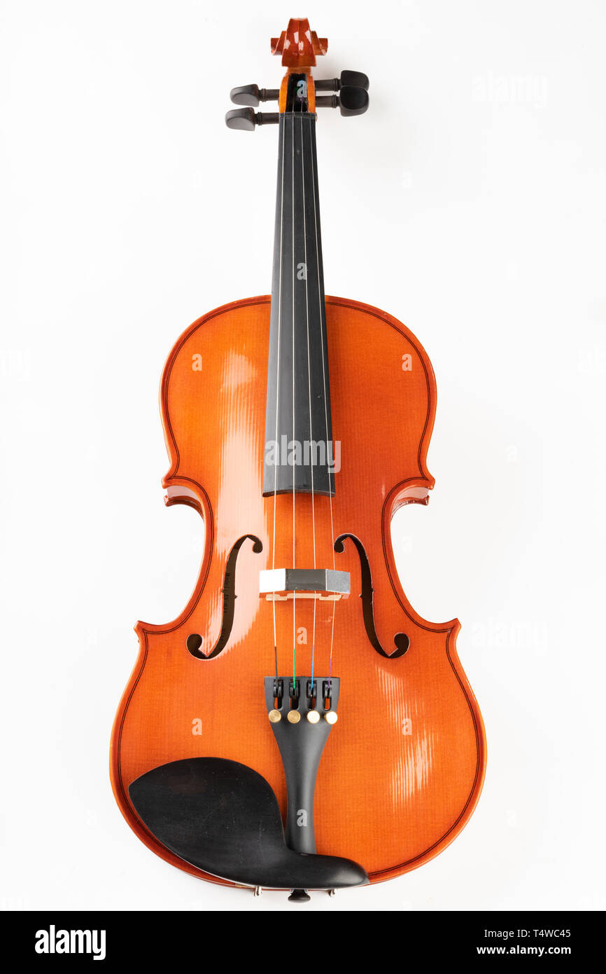 Violin and bow on a light background. A new stringed musical instrument ...