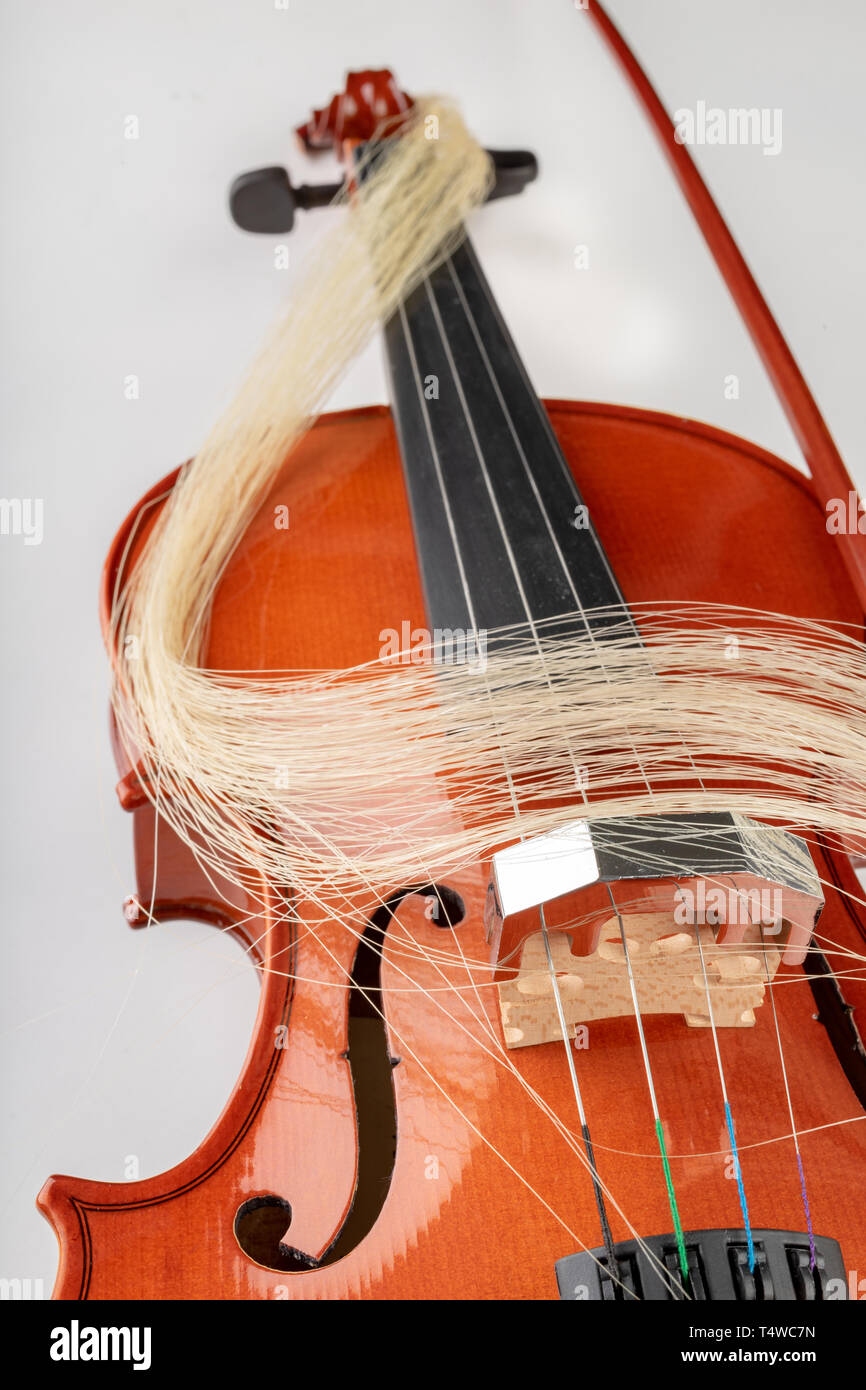 Violin and bow on a light background. A new stringed musical instrument ...