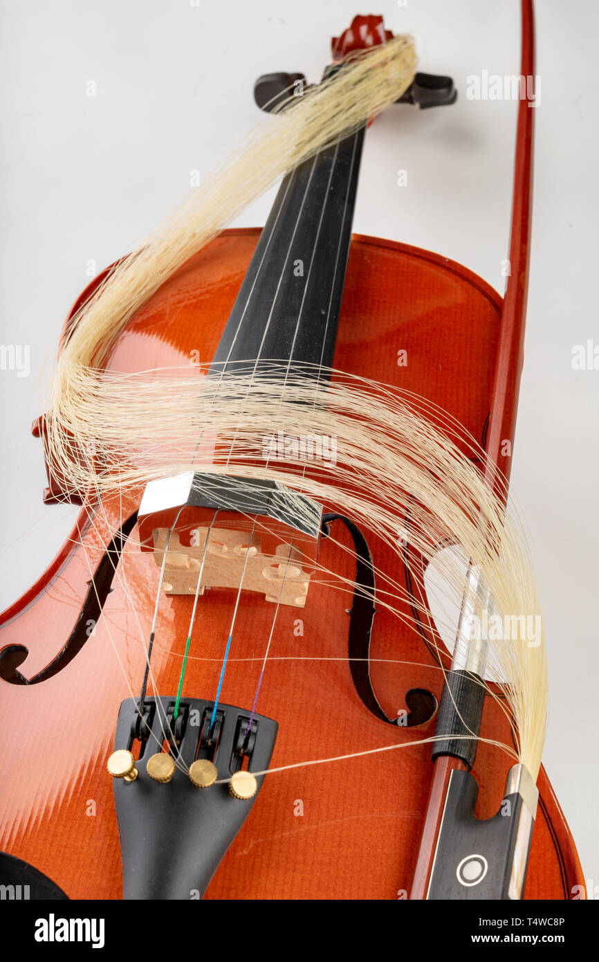 Violin and bow on a light background. A new stringed musical instrument ...