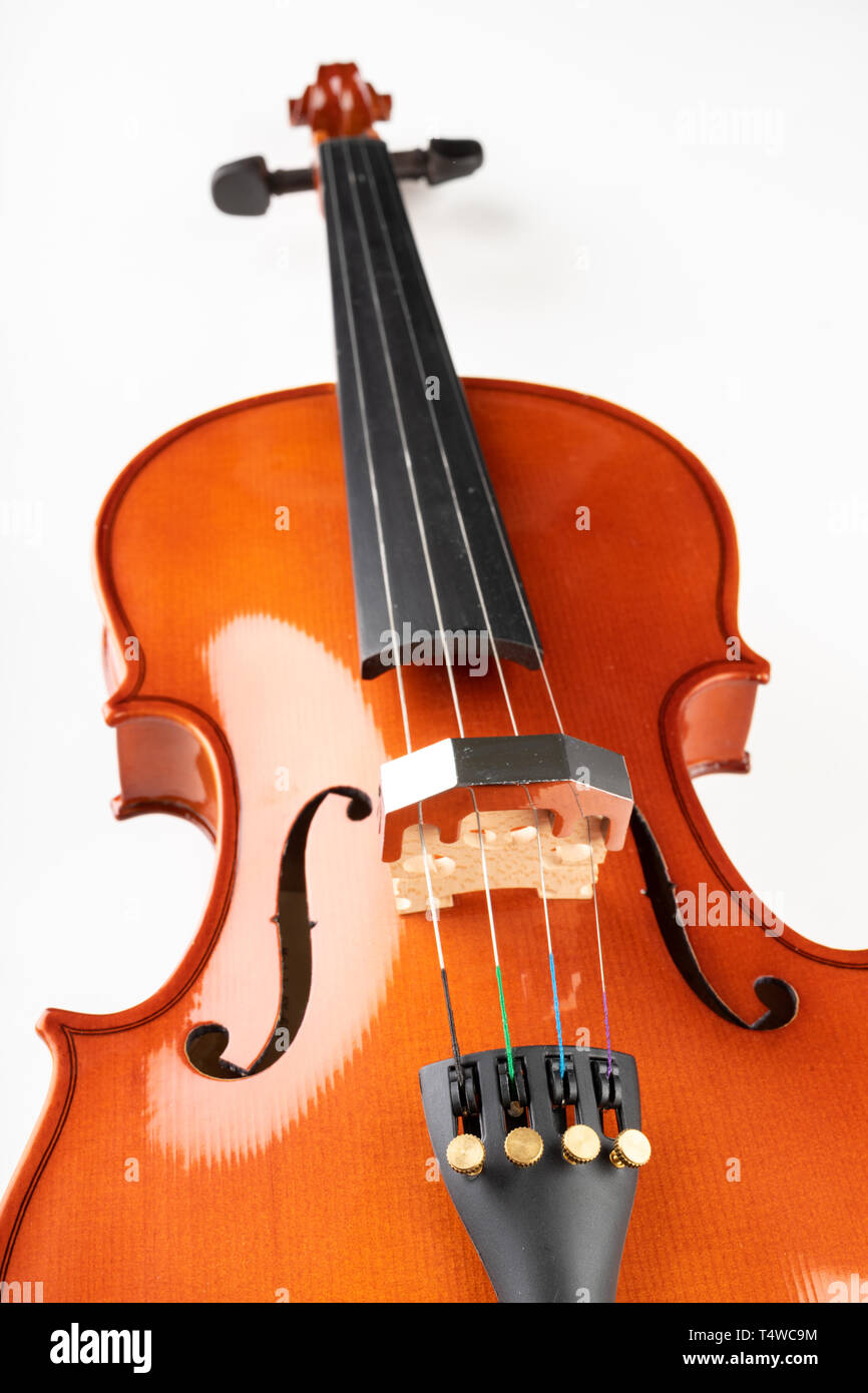 Violin and bow on a light background. A new stringed musical instrument ...