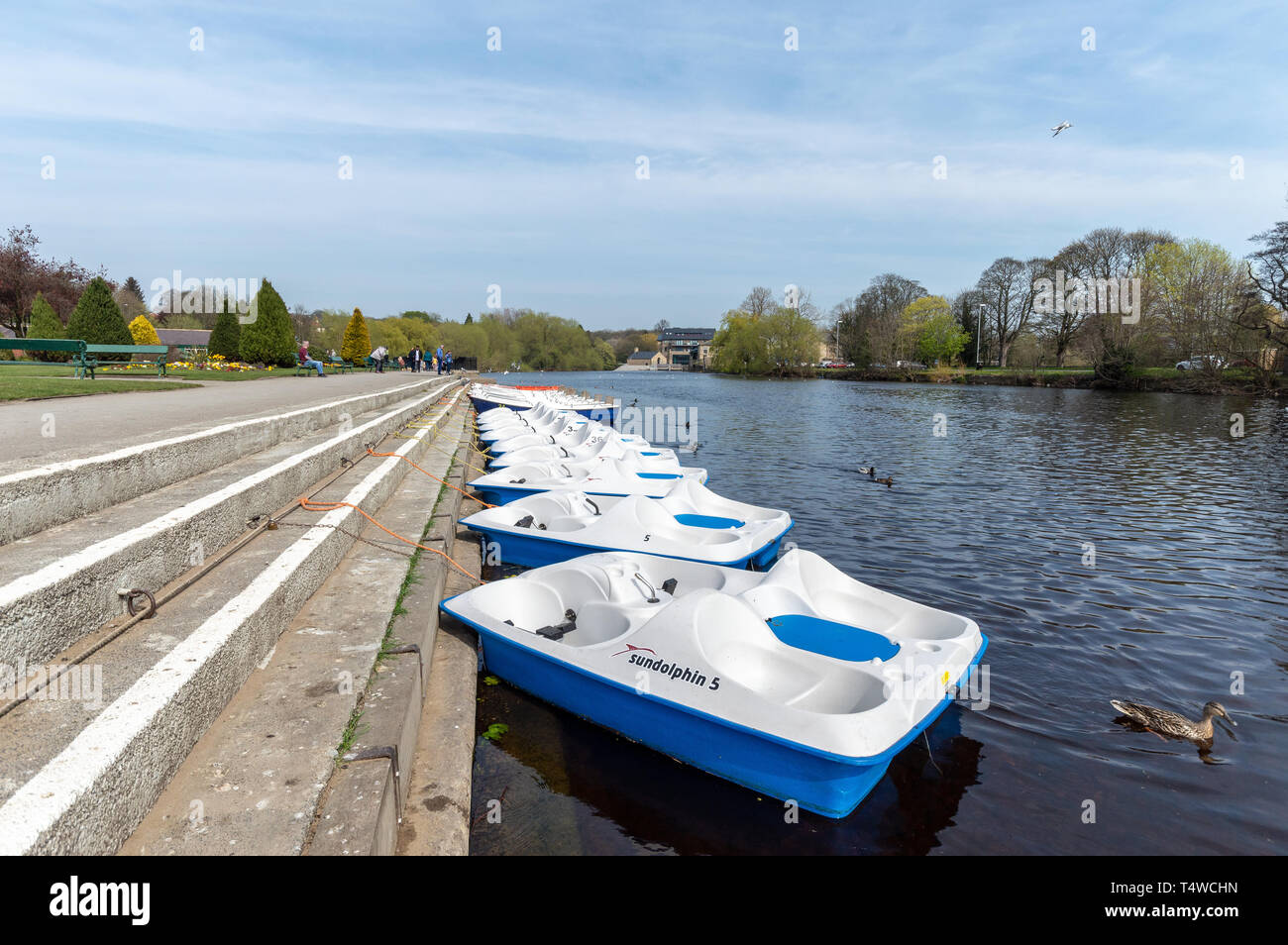 Boats on river Wharfe, Yorkshire Stock Photo - Alamy