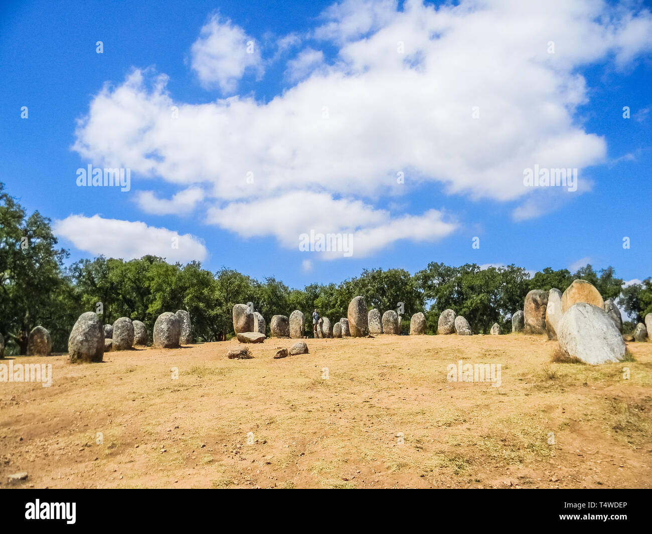 Morocco wine hi-res stock photography and images - Alamy
