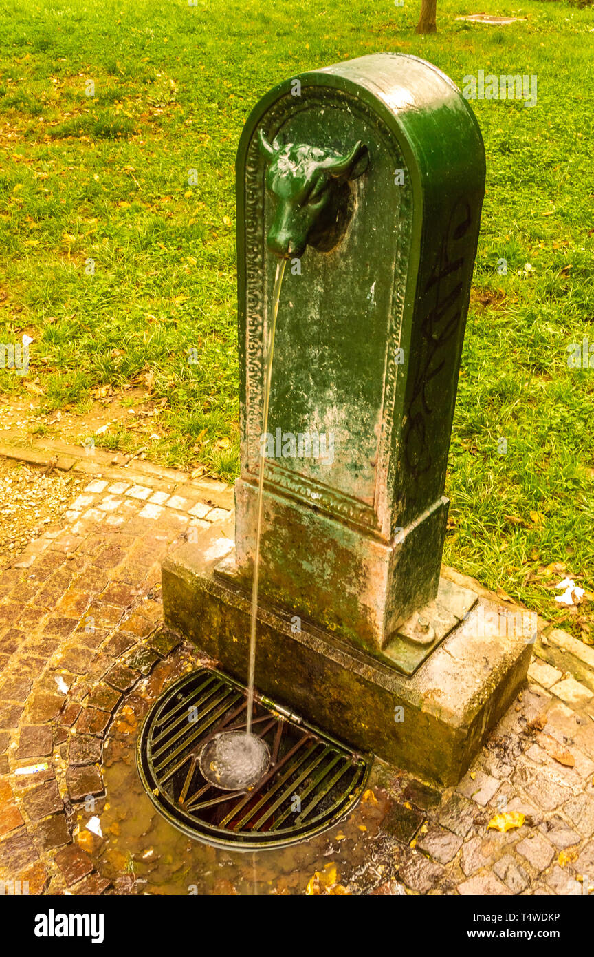 Torino the bull hi-res stock photography and images - Alamy