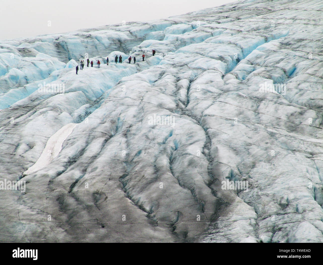 Seilschaft / Wandergruppe auf dem Hardangerjokul / Norwegen Stock Photo ...