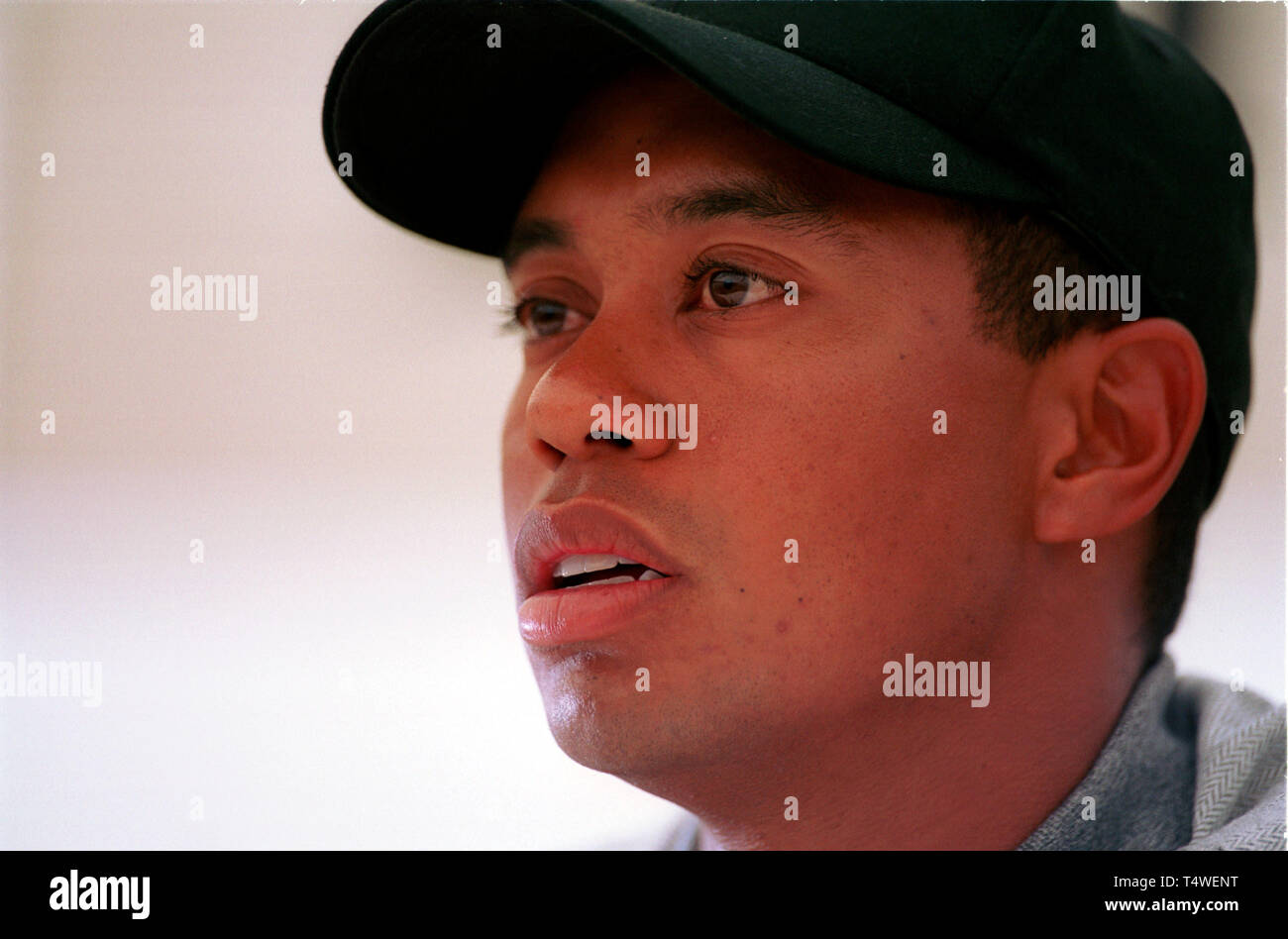 Sap golf hi-res stock photography and images - Alamy