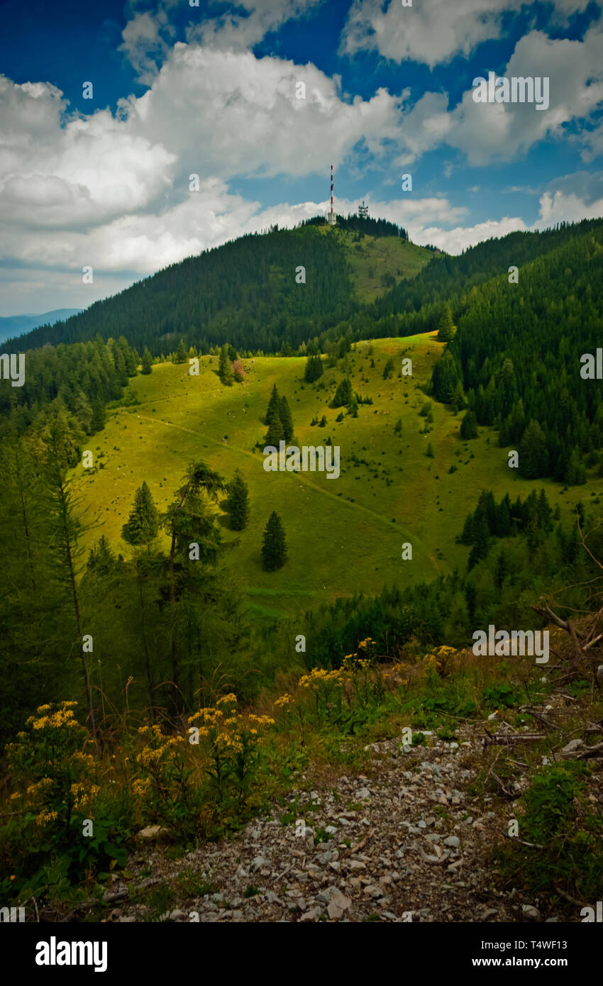 Hiking at the Hirschenkogel (above Semmering Stock Photo - Alamy