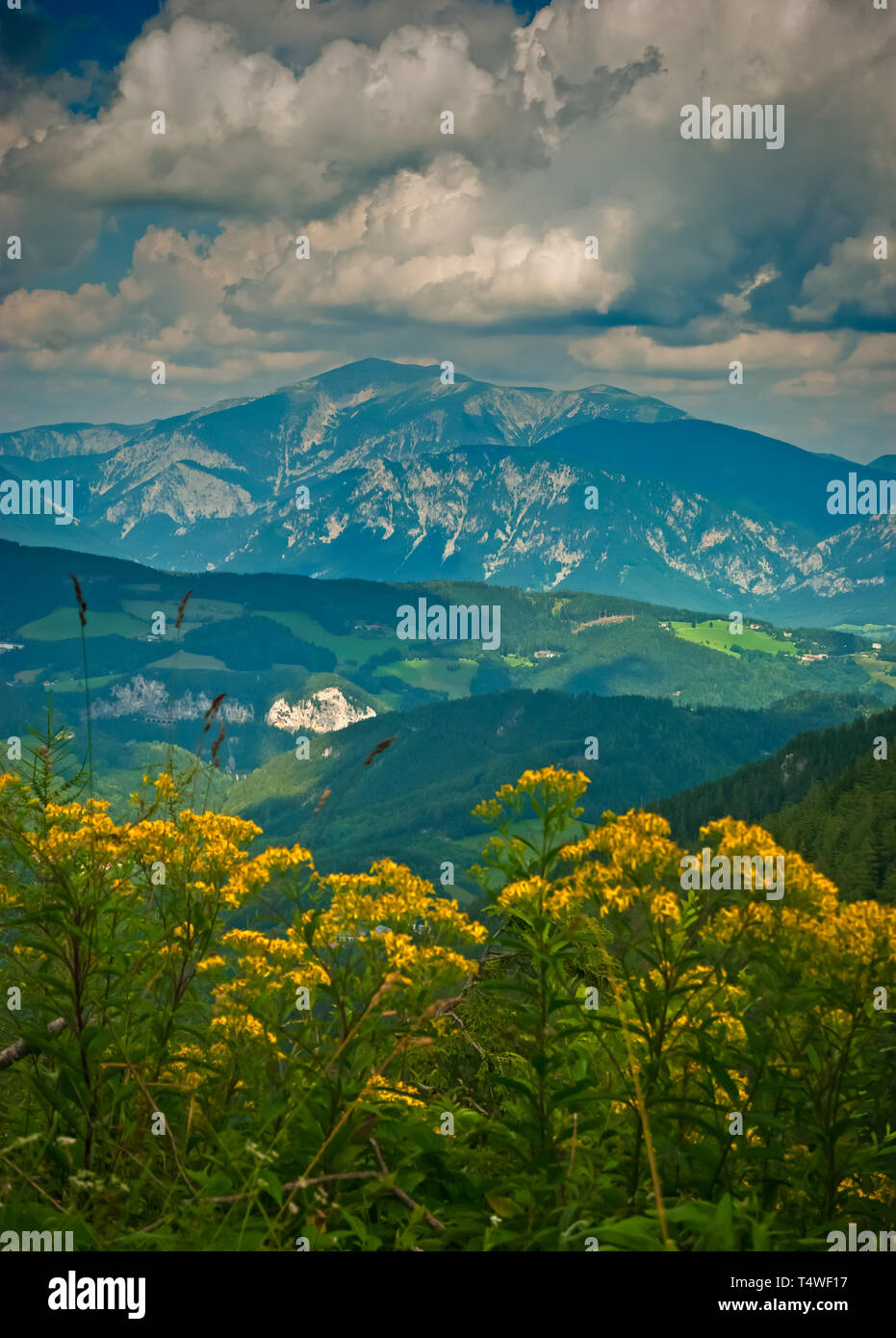 Hiking at the Hirschenkogel (above Semmering Stock Photo - Alamy