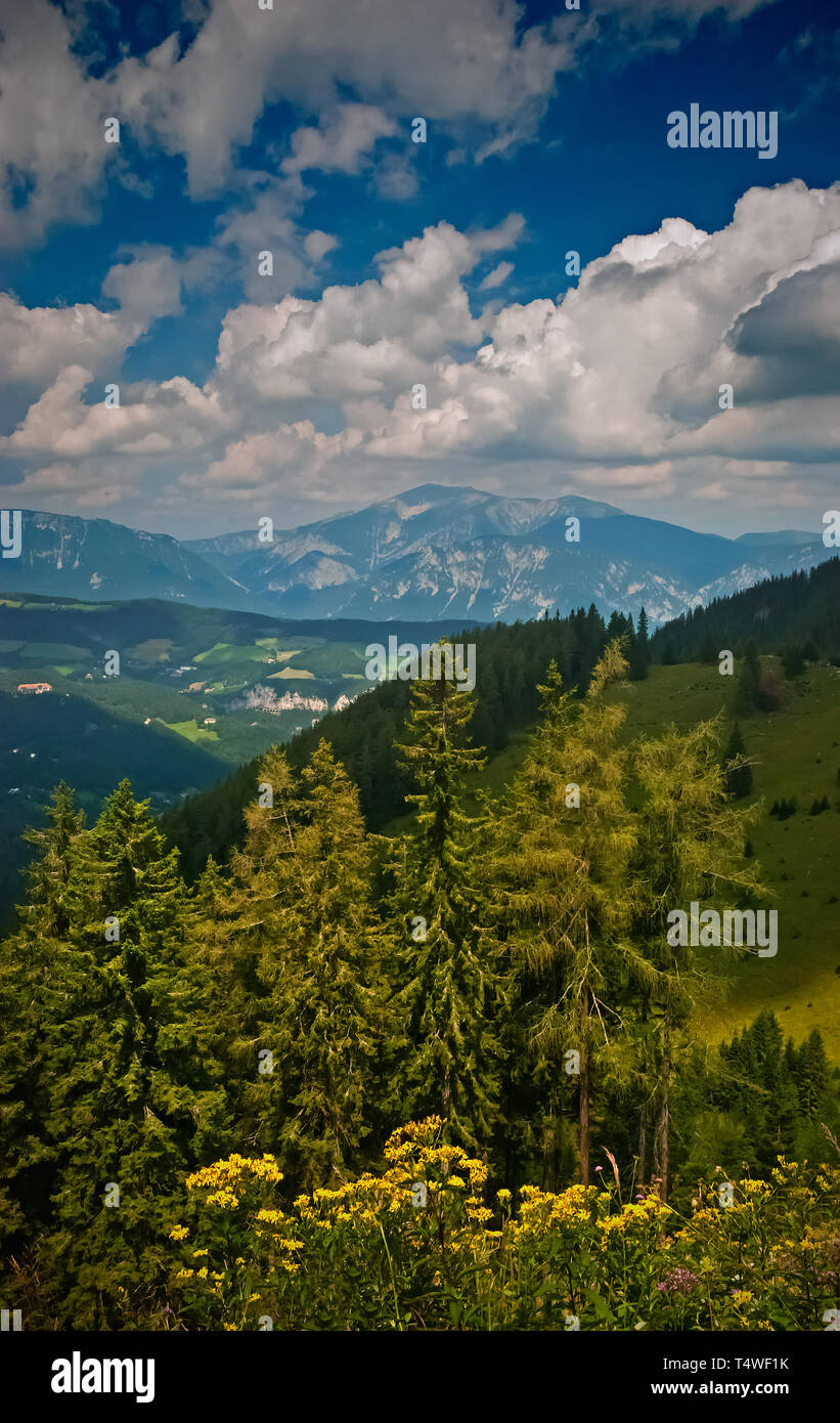 Hiking at the Hirschenkogel (above Semmering Stock Photo - Alamy
