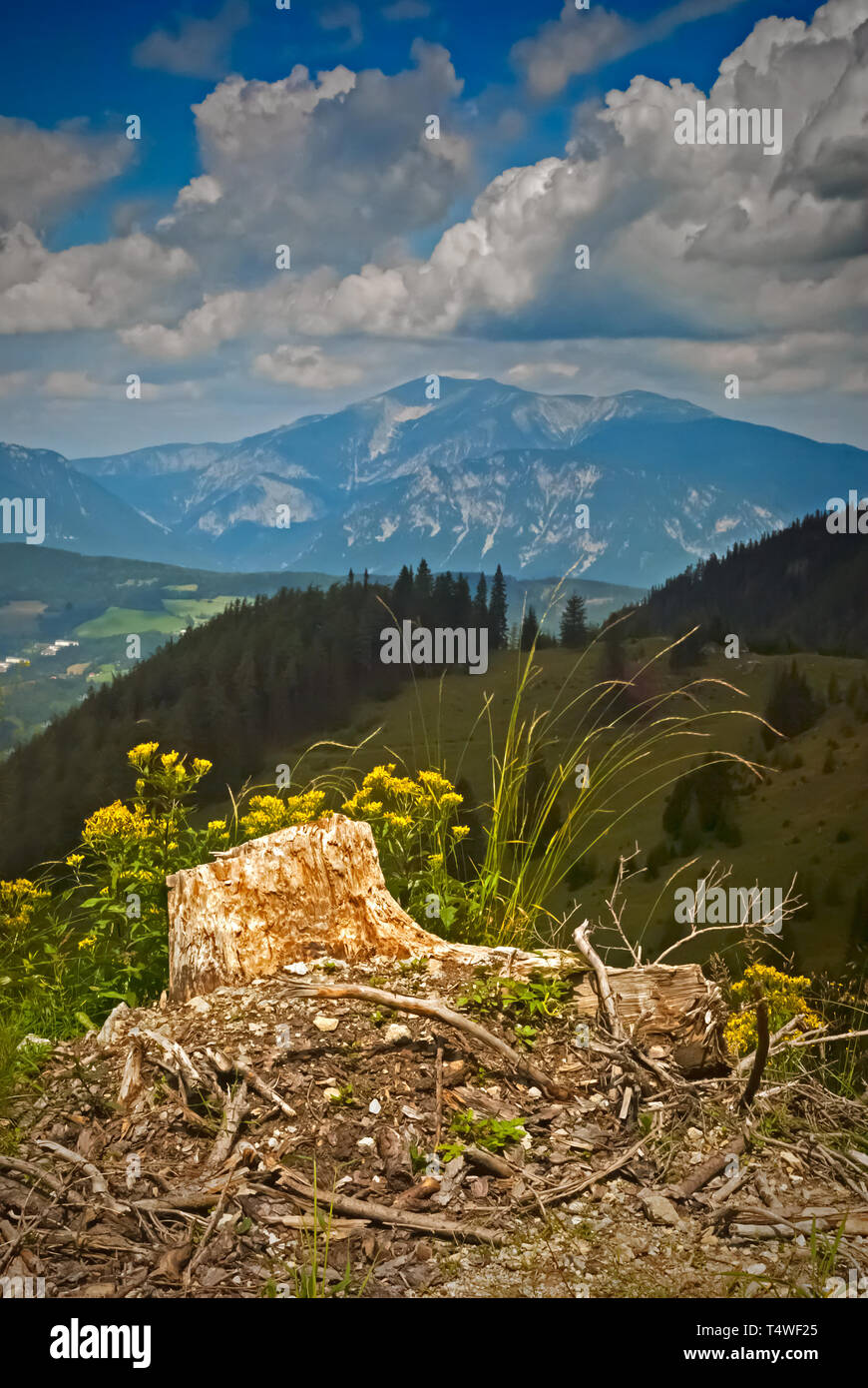 Hirschenkogel semmering hi-res stock photography and images - Alamy