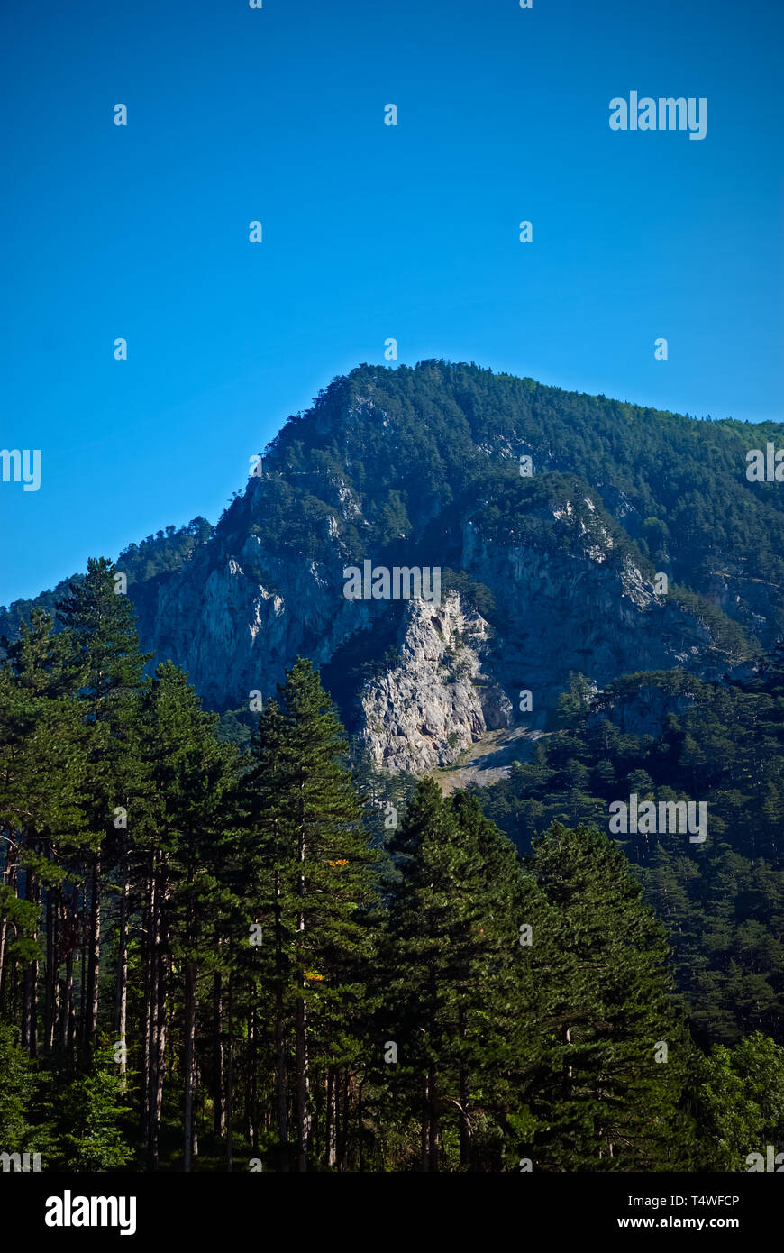 Hiking in the Raxalpe, Lower Austria Stock Photo - Alamy
