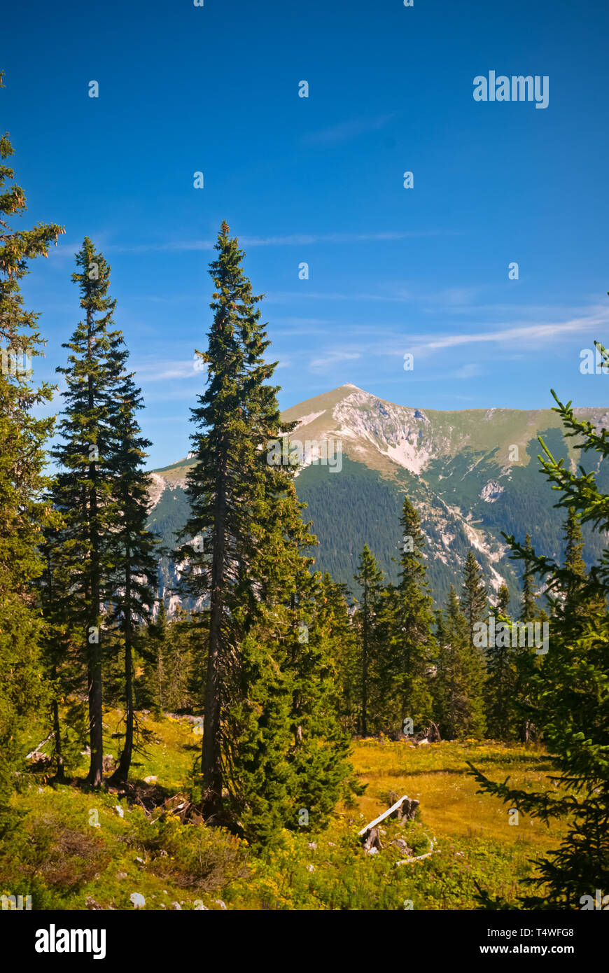Hiking in the Raxalpe, Lower Austria Stock Photo - Alamy