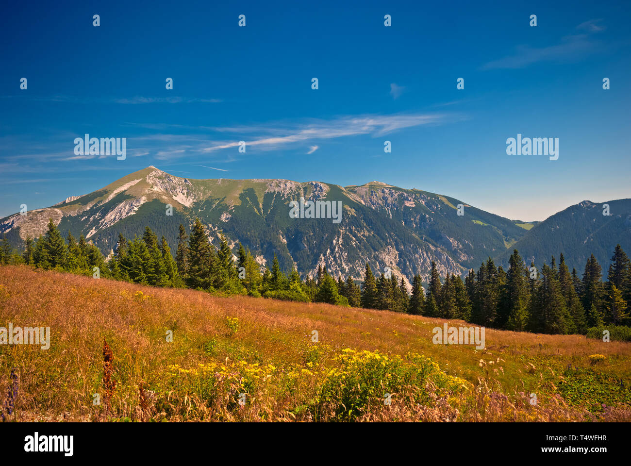 Hiking in the Raxalpe, Lower Austria Stock Photo - Alamy