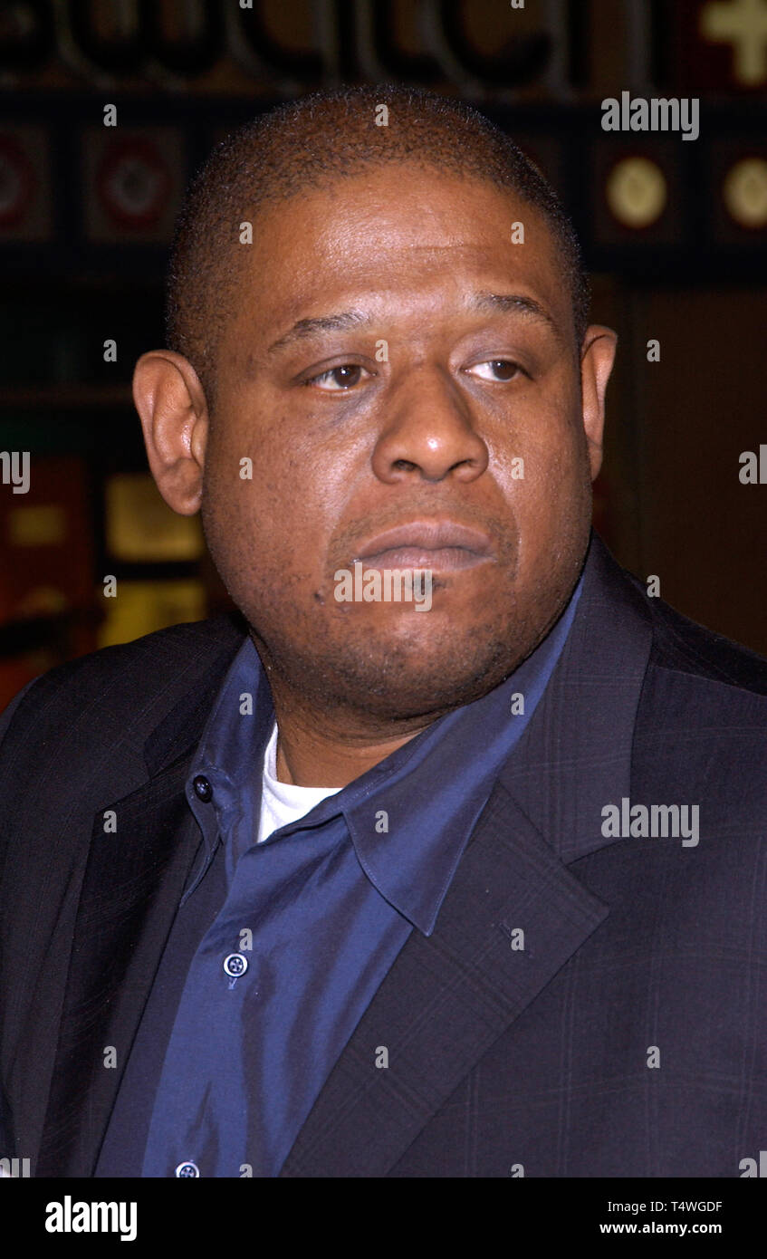 LOS ANGELES, CA. February 13, 2005: Actor FOREST WHITAKER at the world ...