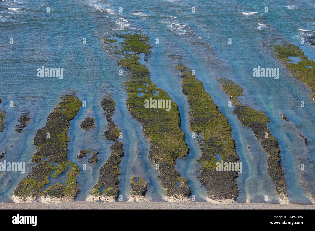 Wave channels, La Caleta, Peninsula Valdes, Patagonia, Argentina Stock ...